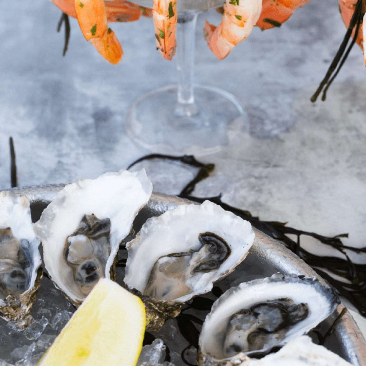 Explore Our Gallery | Brizo Bar & Restaurant, Marina Del Rey