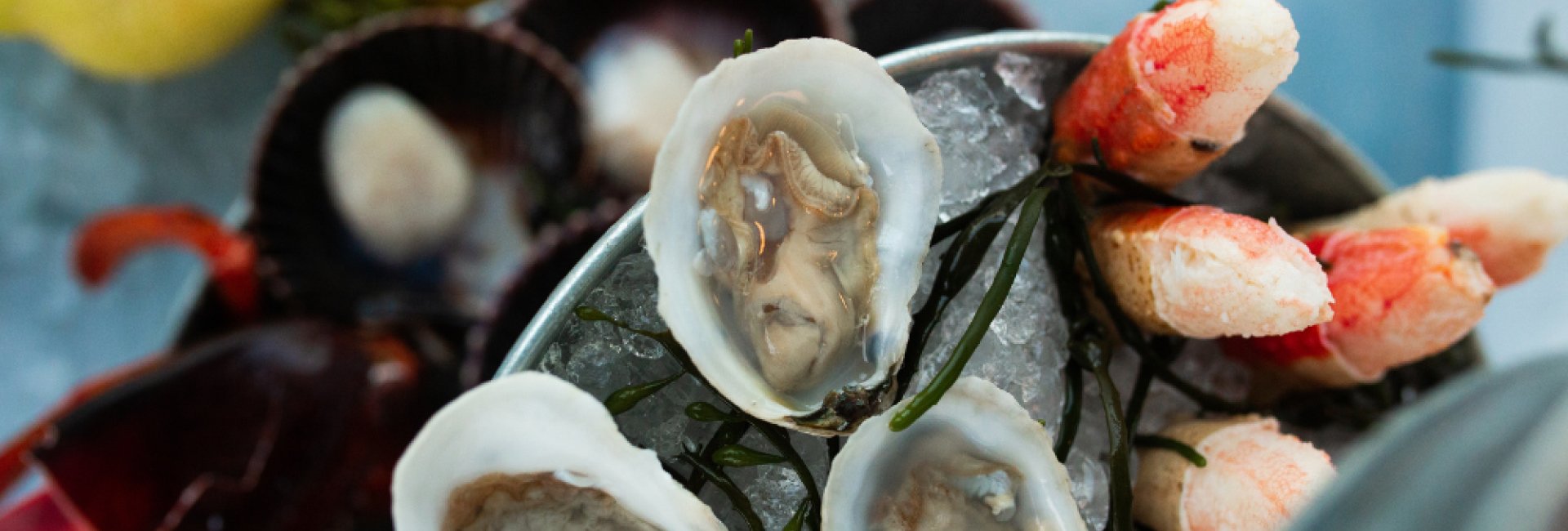 Exclusive Events & Catering in CA | Brizo Bar & Restaurant